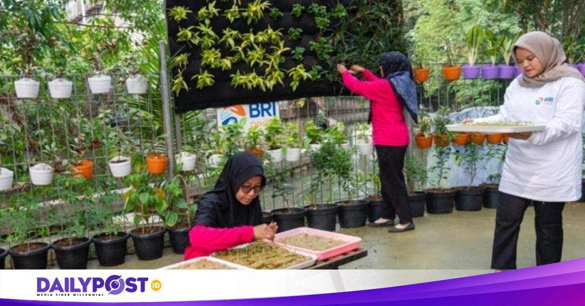 BRInita BRI Jadi Contoh Inovasi Perempuan dalam Urban Farming, Dorong ...